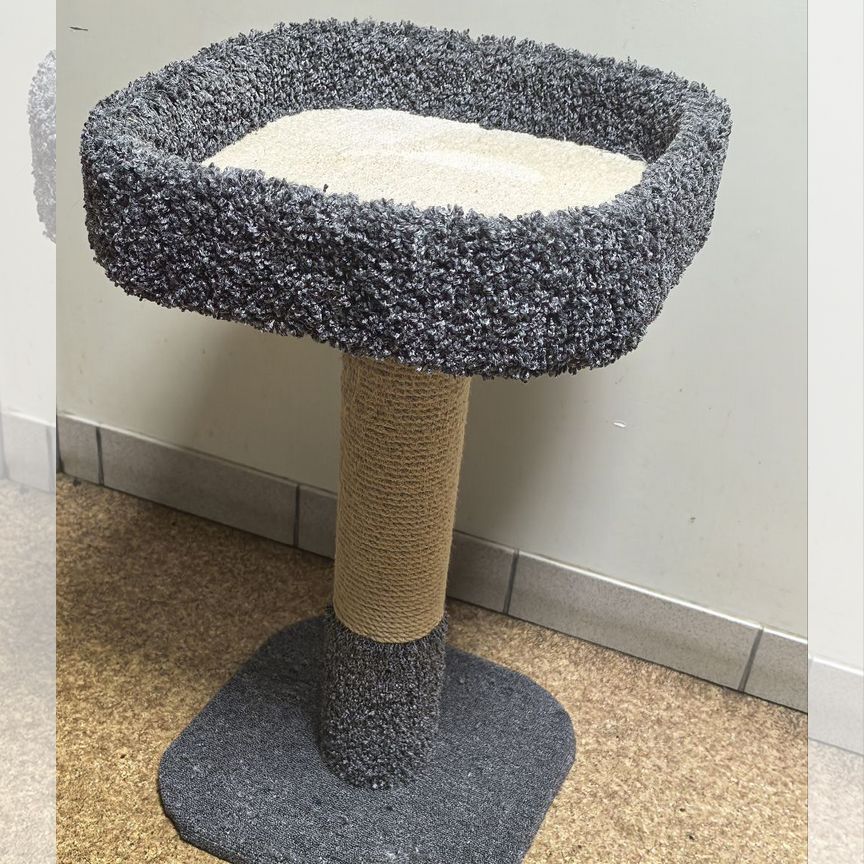 Когтеточка с лежанкой