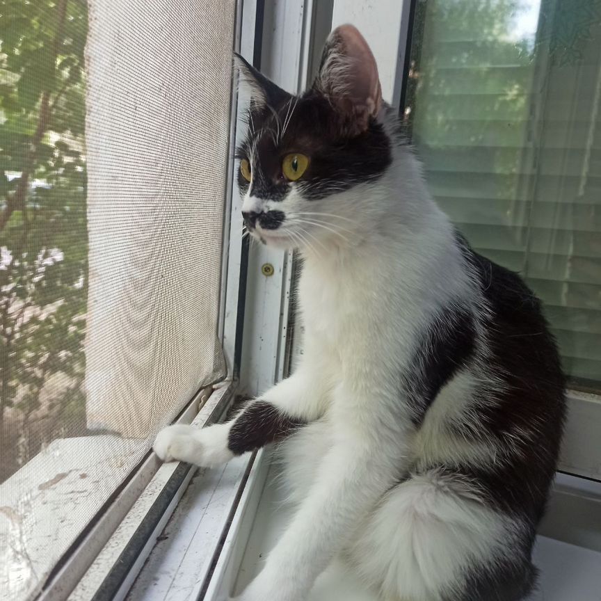 Ясенька, 10 месяцев