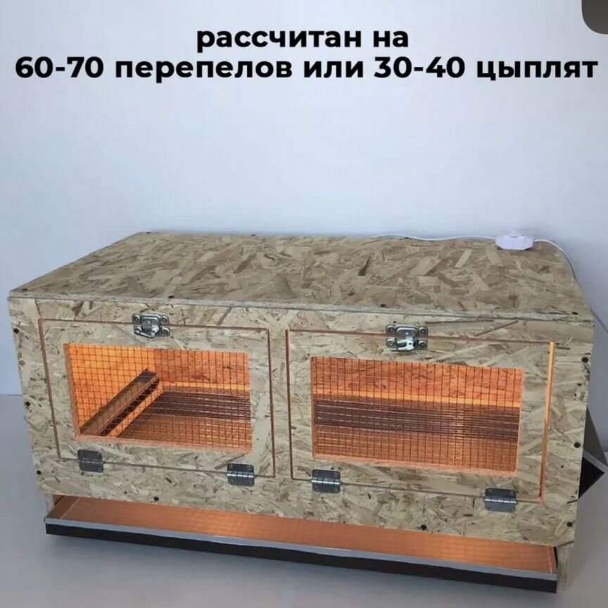Брудер для цыплят и клетки для перепелов