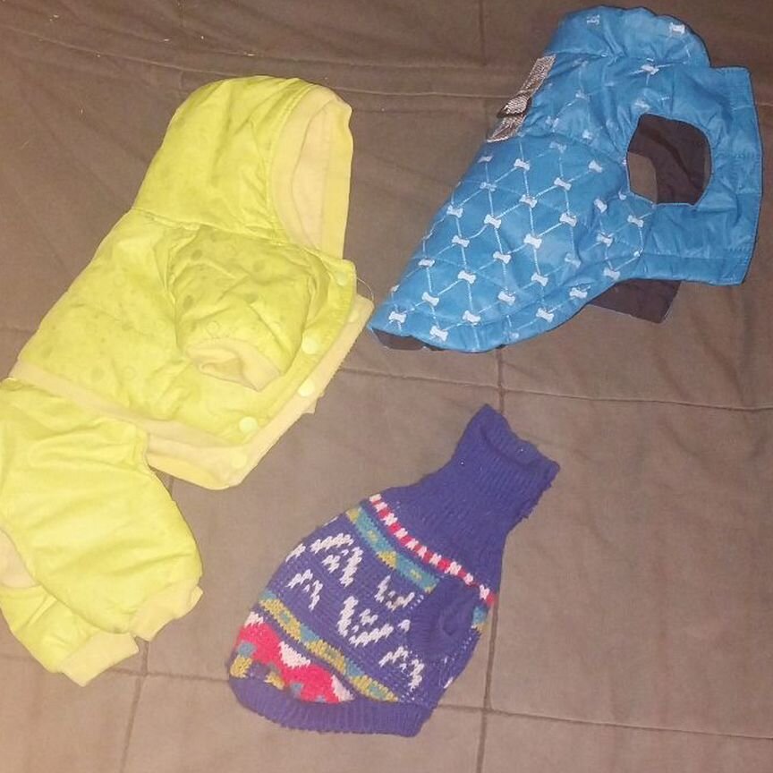 Одежда для собак мелких пород