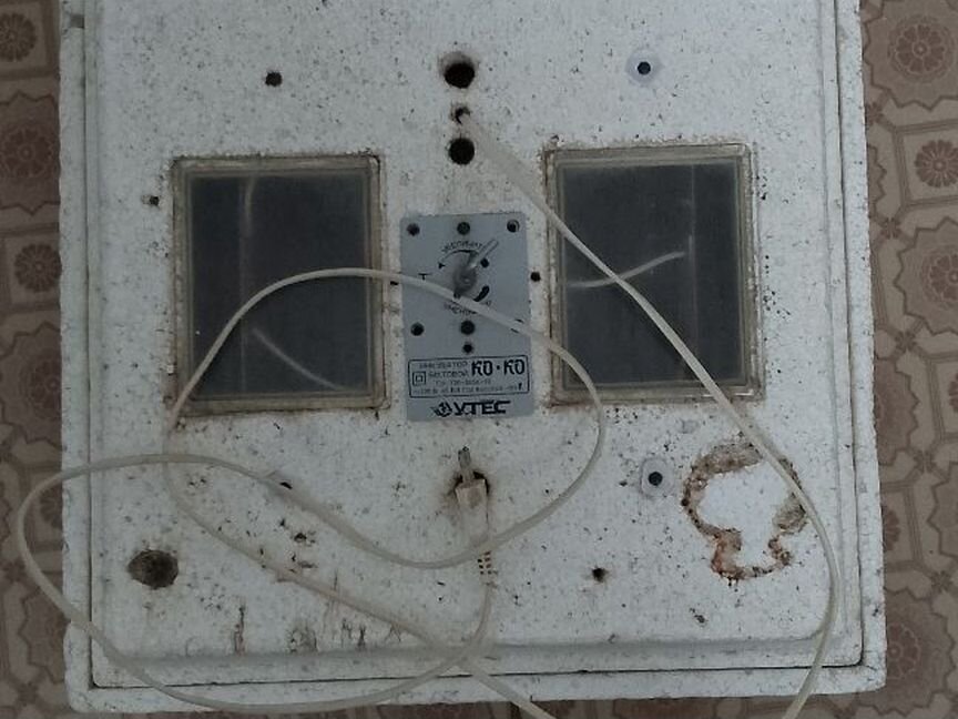 Инкубатор для яиц