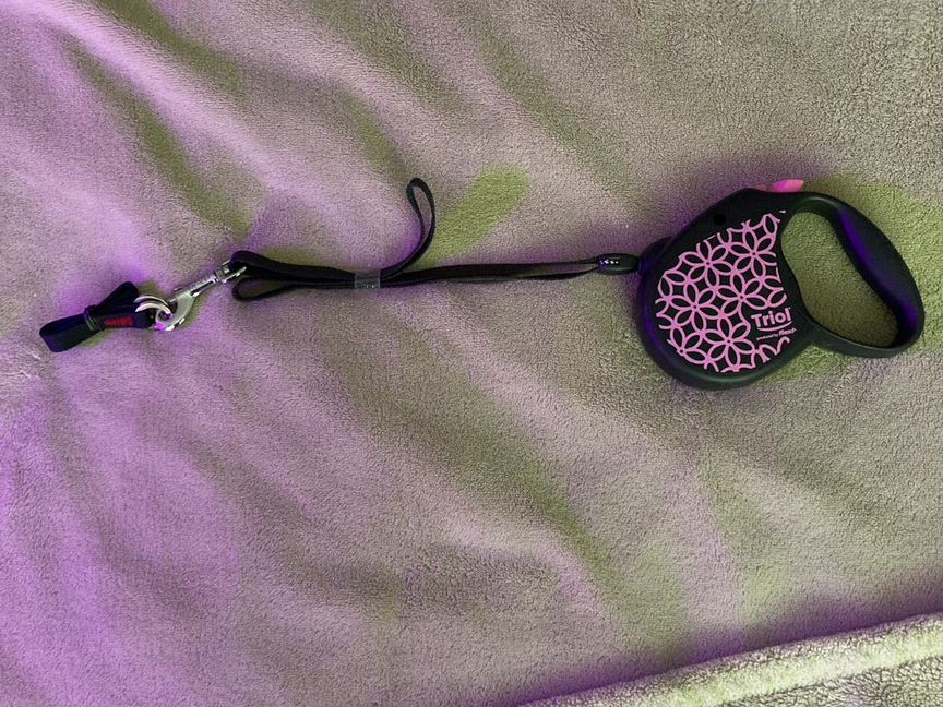 Рулетка для собак