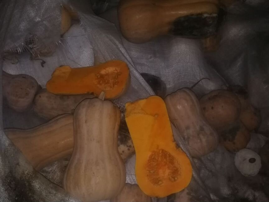 Просрочка