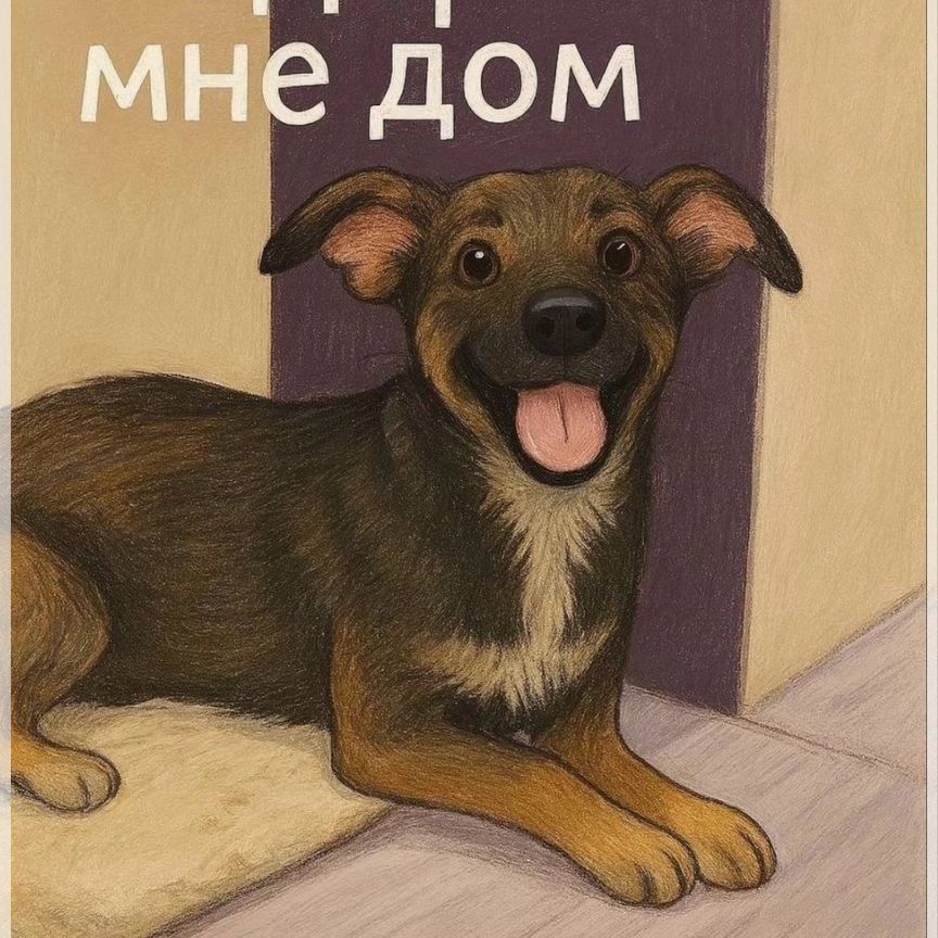 Размером с кошку, в добрые руки