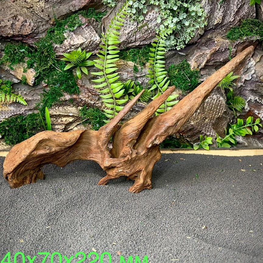 Коралловое дерево/Coral Wood кд1164