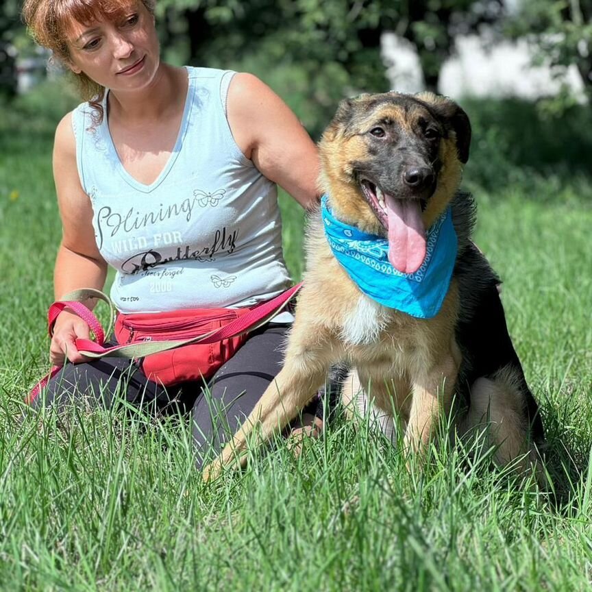 Бисер, собака из приюта бесплатно