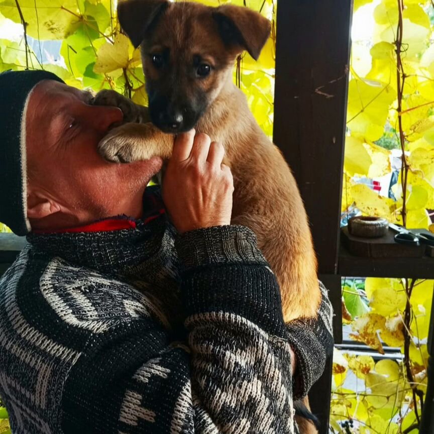 Щенуля Принцесса 3 мес