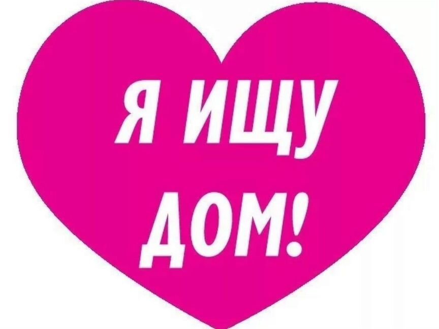 Помогите найти добрые руки щенкам
