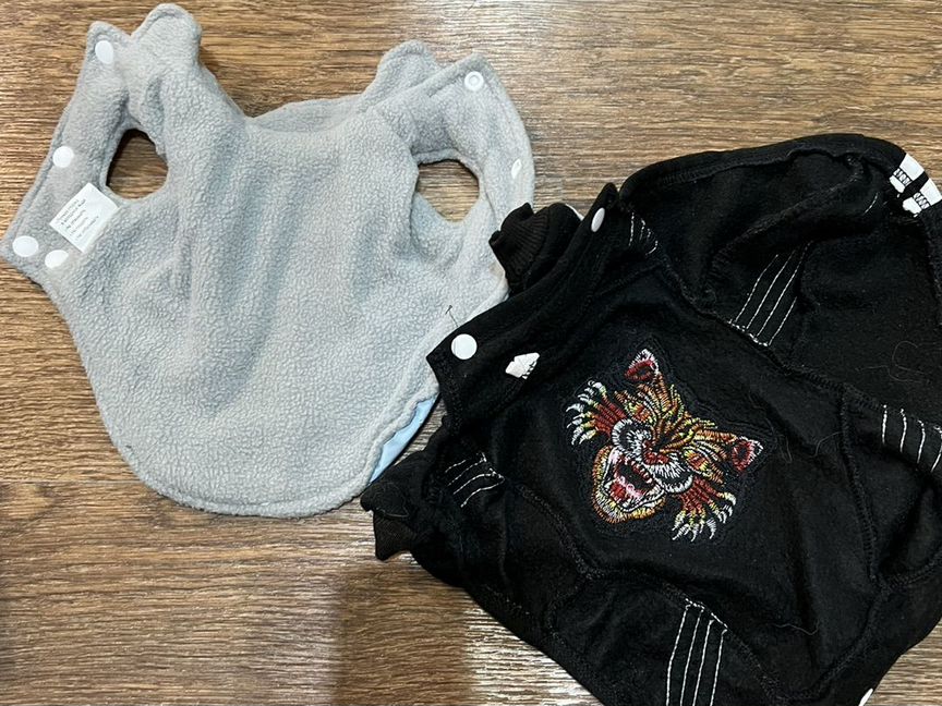 Костюм для собаки