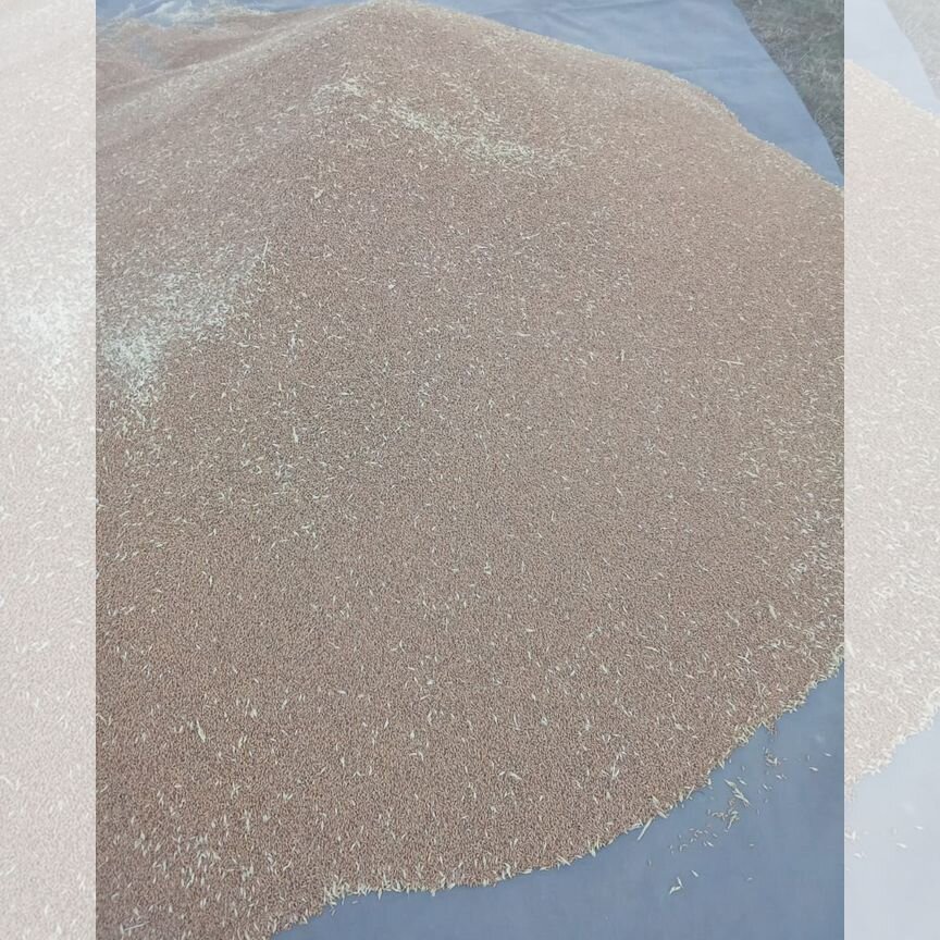 Продажа зерна пшеницы