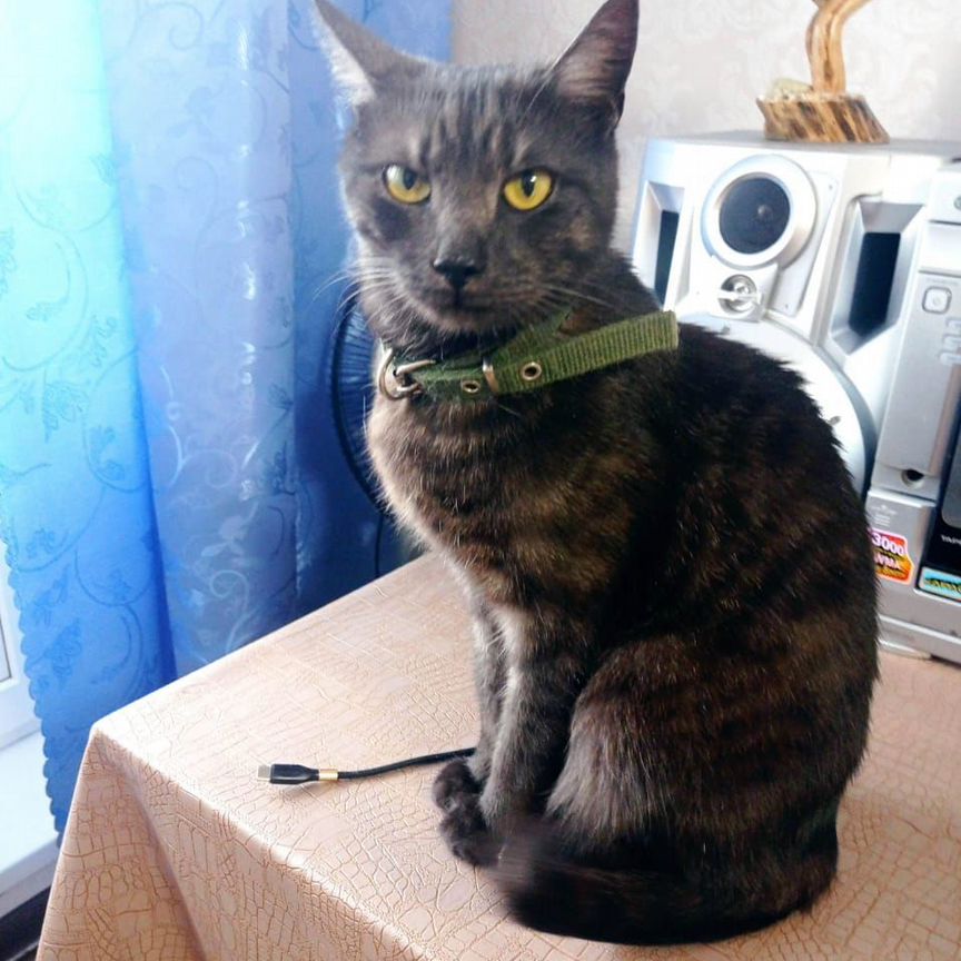 Шикарный мальчик