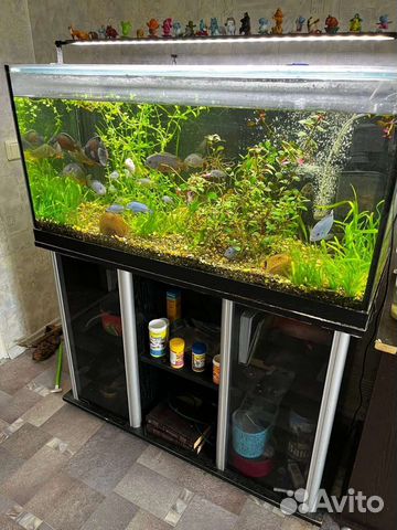 Аквариум