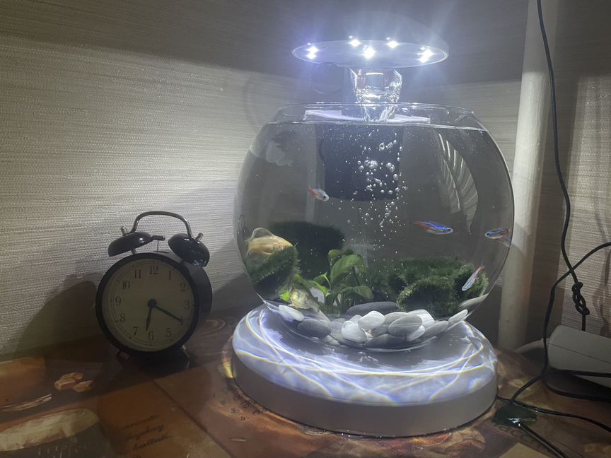 Аквариум круглый с подсветкой 6,8 л