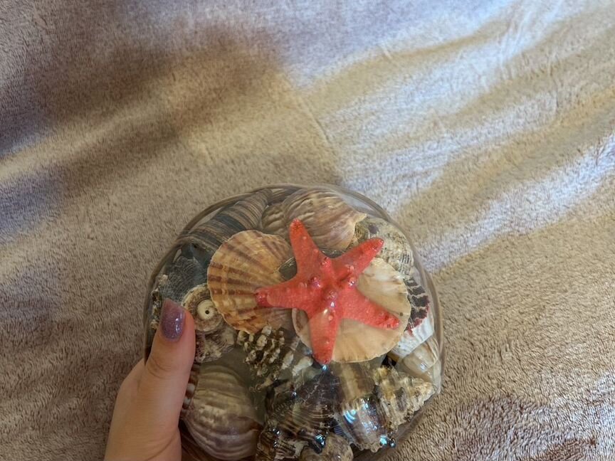 Набор ракушек подарочный для аквариума