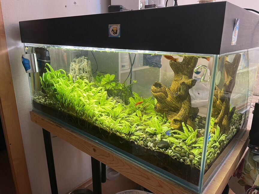 Аквариум - террариум на 200 литров