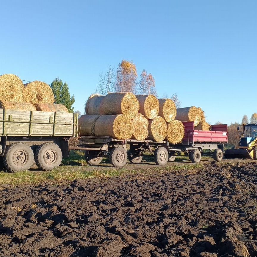 Солома в рулонах