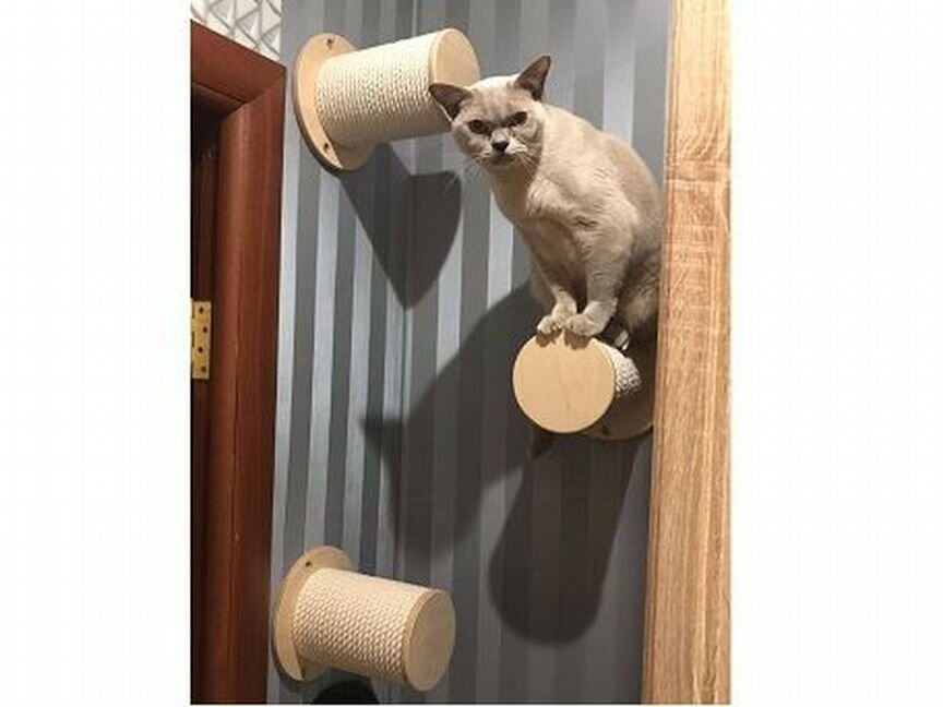 Когтеточка настенная для кошек