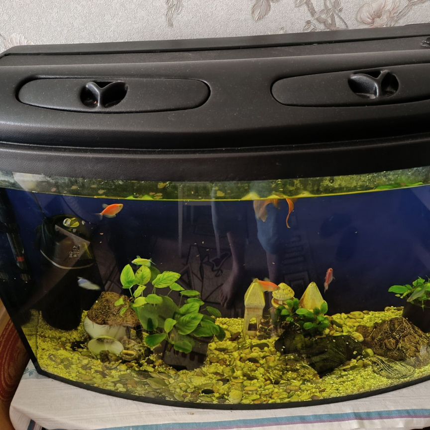 Украшения для аквариума