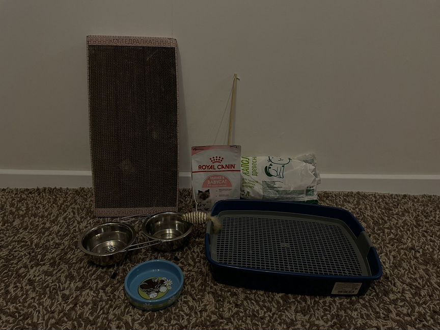 Товары для кошек