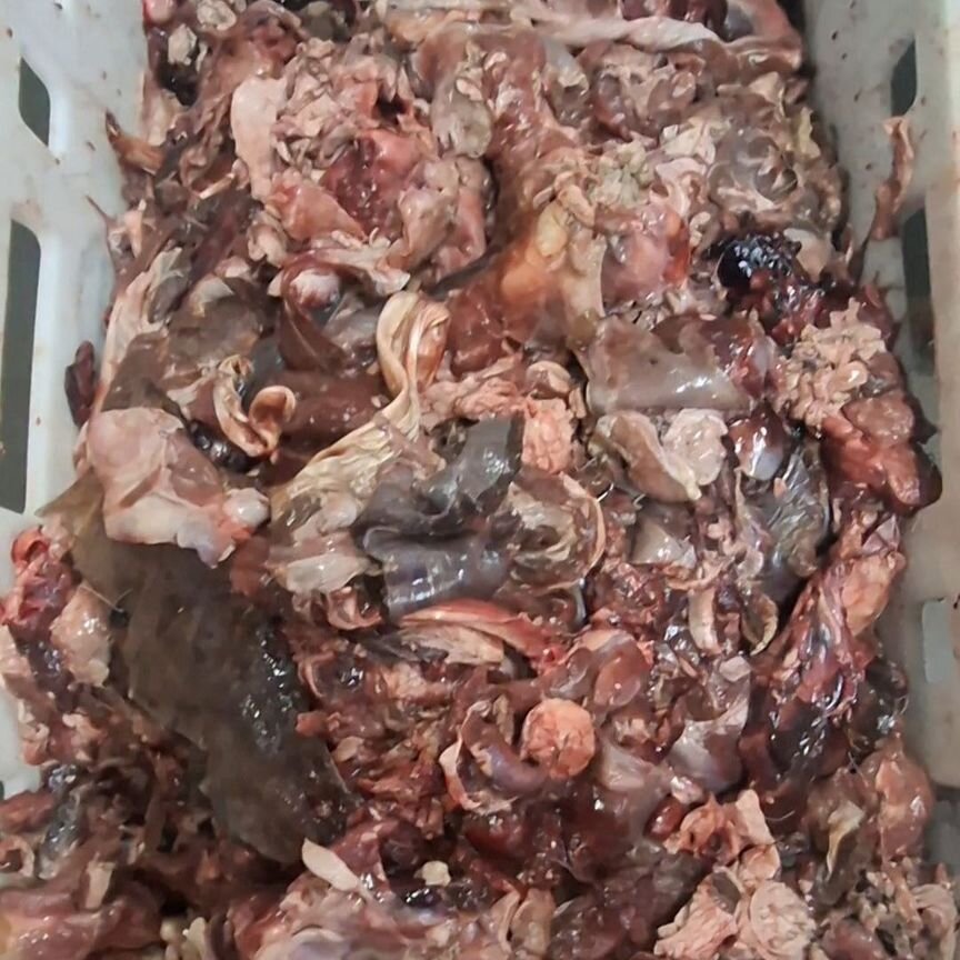 Обрезь оленины для собак и кошек