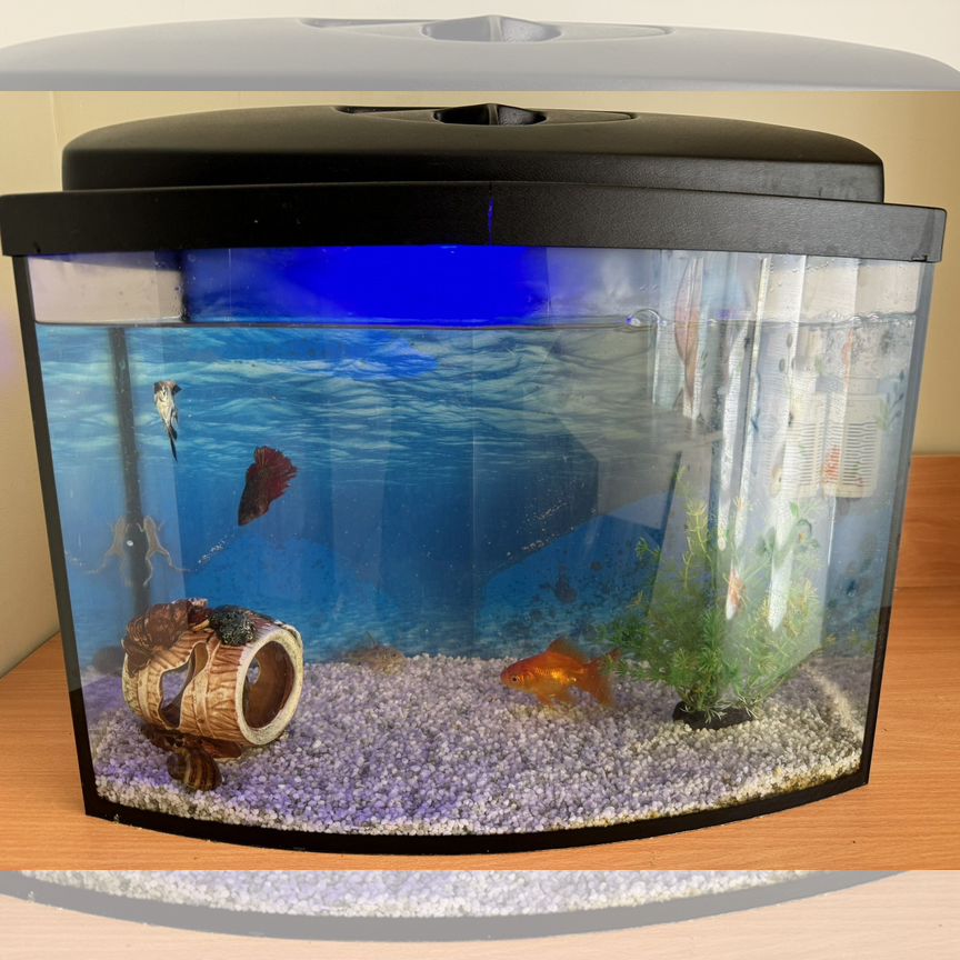 Аквариум на 50 литров