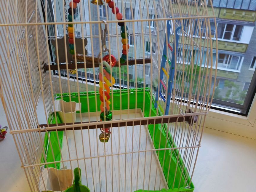 Клетка для волнистого попугая