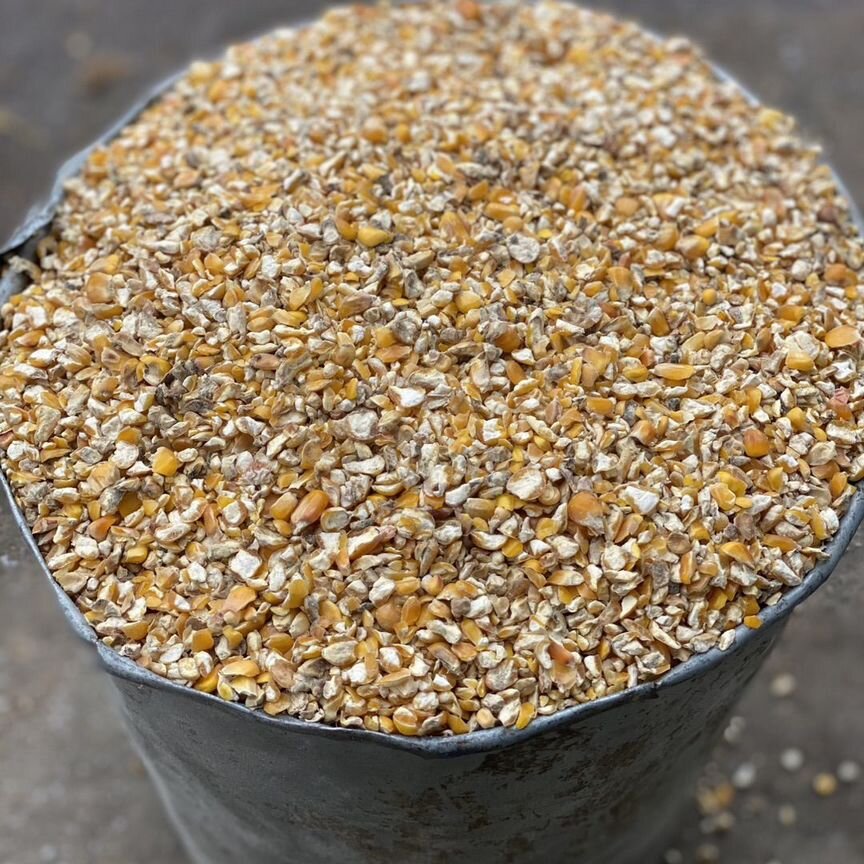 Кукуруза колотая