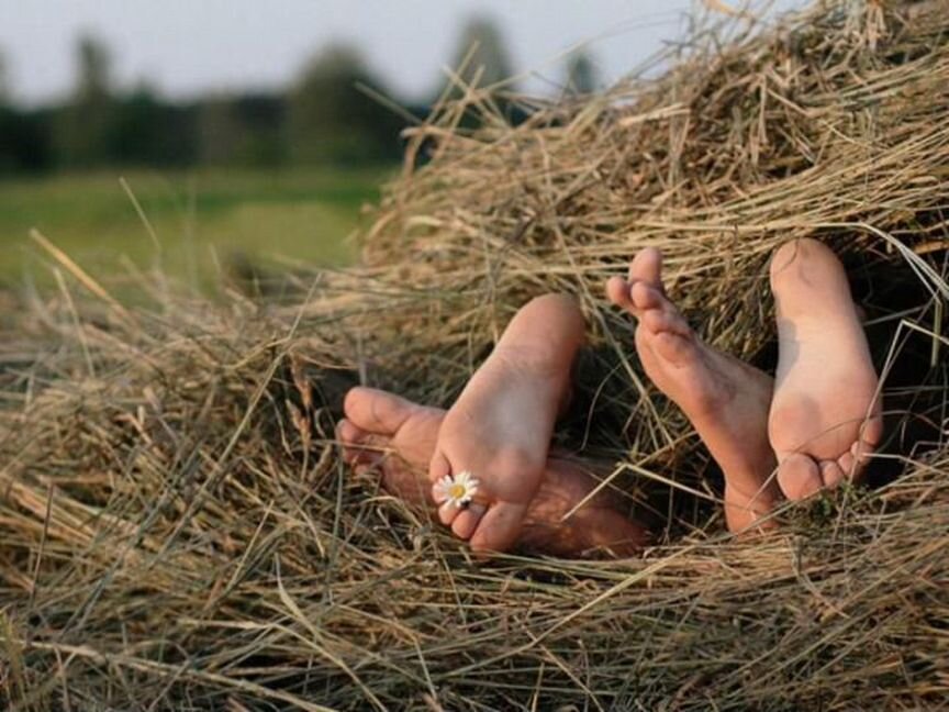 Сено на Заречной