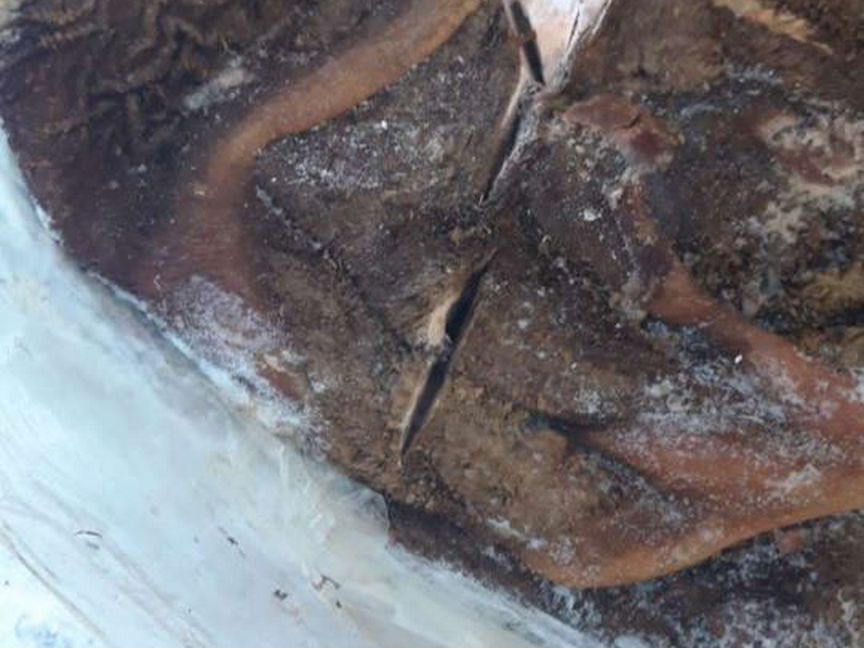 Корм для собак (рубец, вымя, лёгкое)