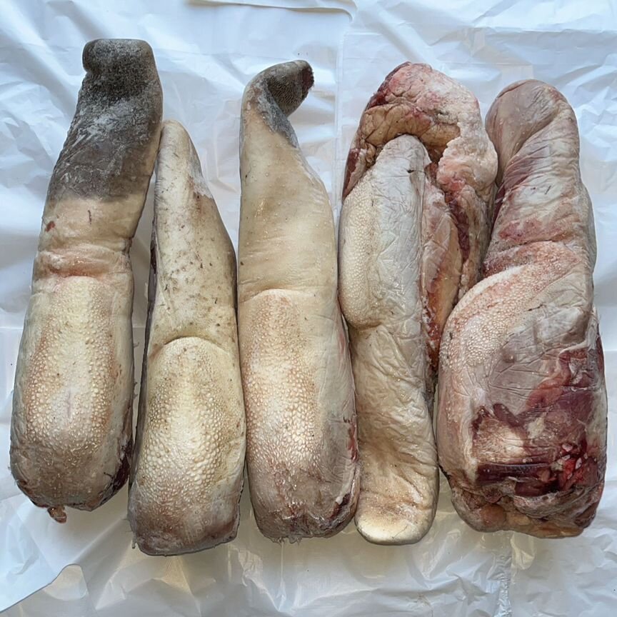 Язык говяжий