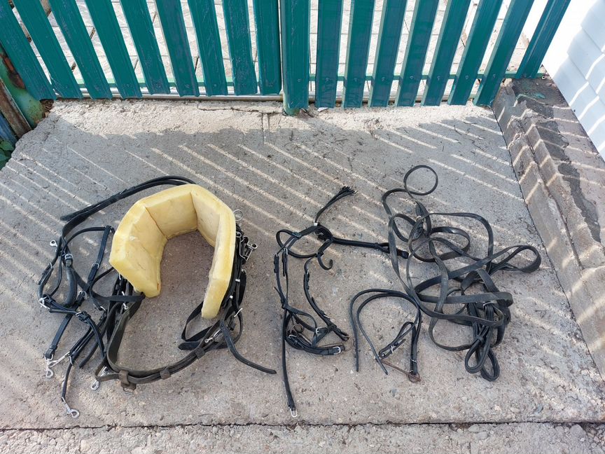 Сбруя для рысаков