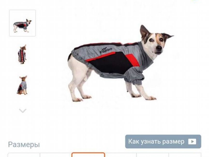 Зимняя курточка Rungo для собак на молнии