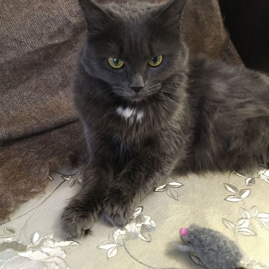 Подарю Хорошим людям