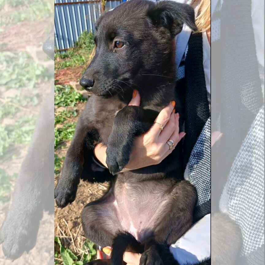 Выбери меня 2 мес