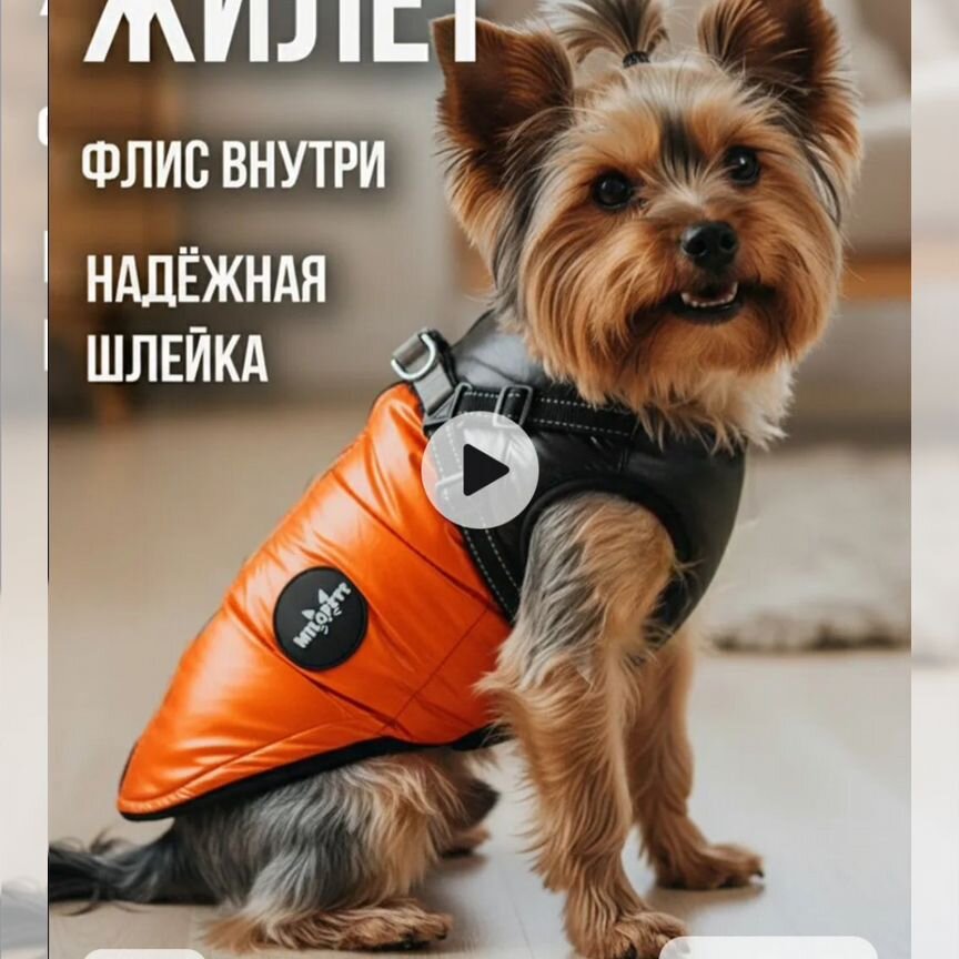 Жилетка для средних собак