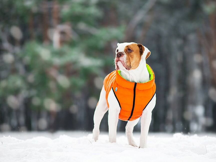 Жилетка двухсторонняя AiryVest размер XS22(35x21)