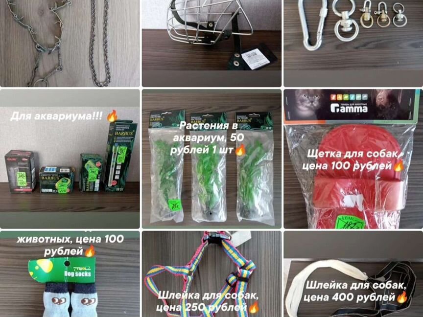Продажа Зоотоваров