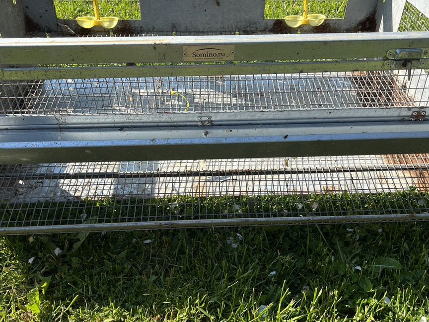 Клетка для перепелок бу somino