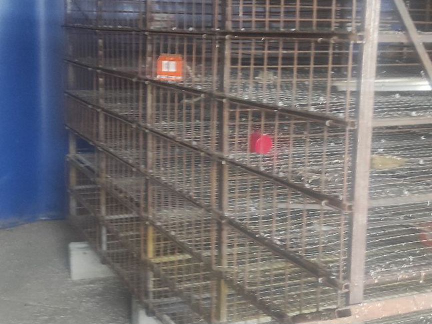 Клетка для перевозки птицы