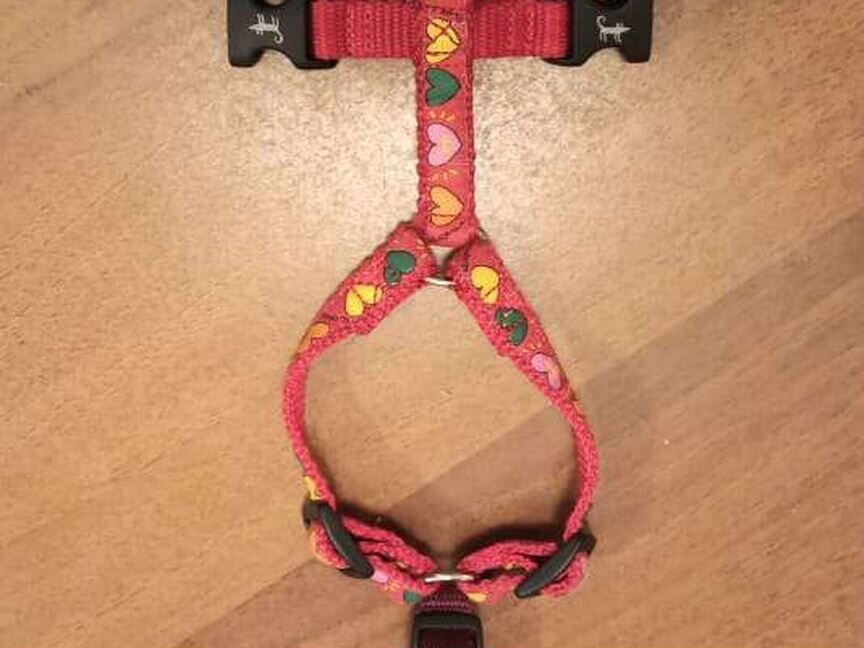 Шлейка для собаки Sharik-dog