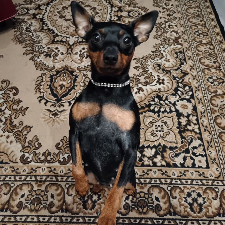 Ищем кабеля