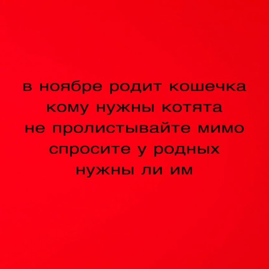 Не пролистывайте мимо