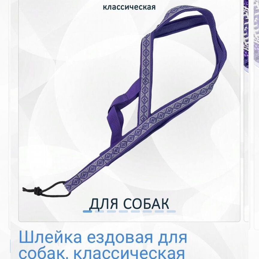 Шлейка ездовая для бега, каникросса Totemica