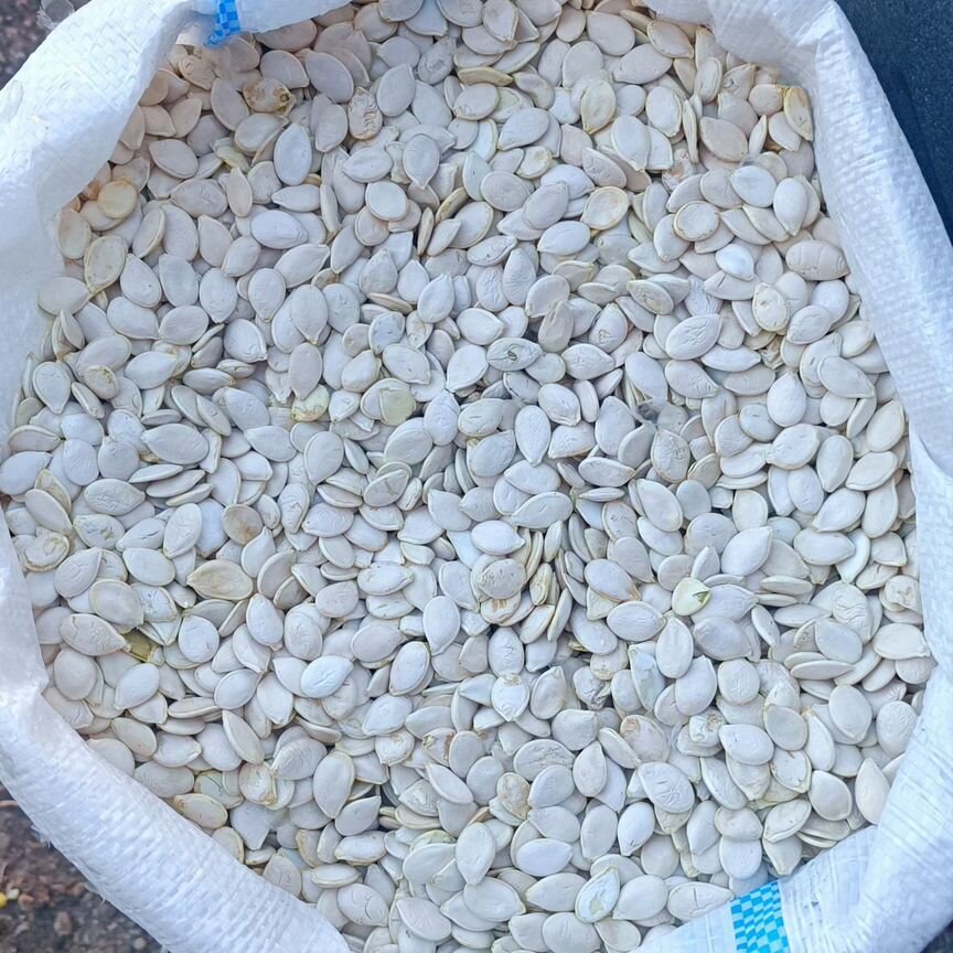 Тыквенные семечки