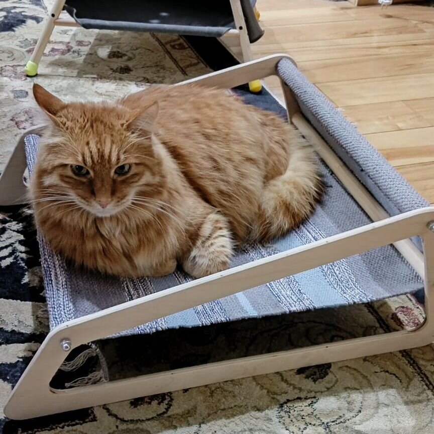 Лежанка для собак и кошек