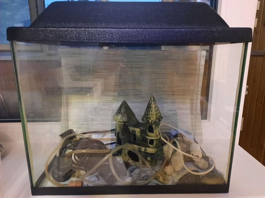 Готовый аквариум