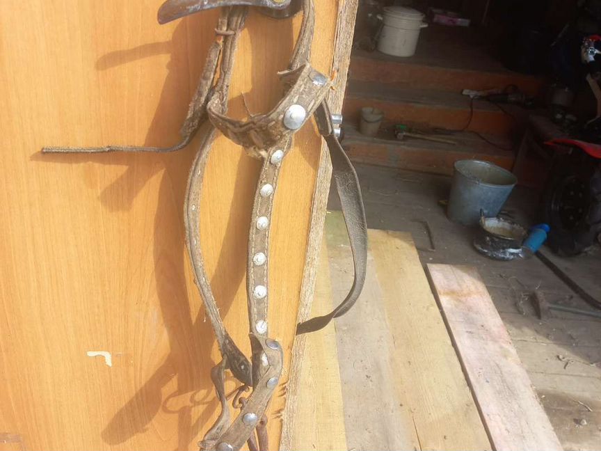 Амуниция для лошади