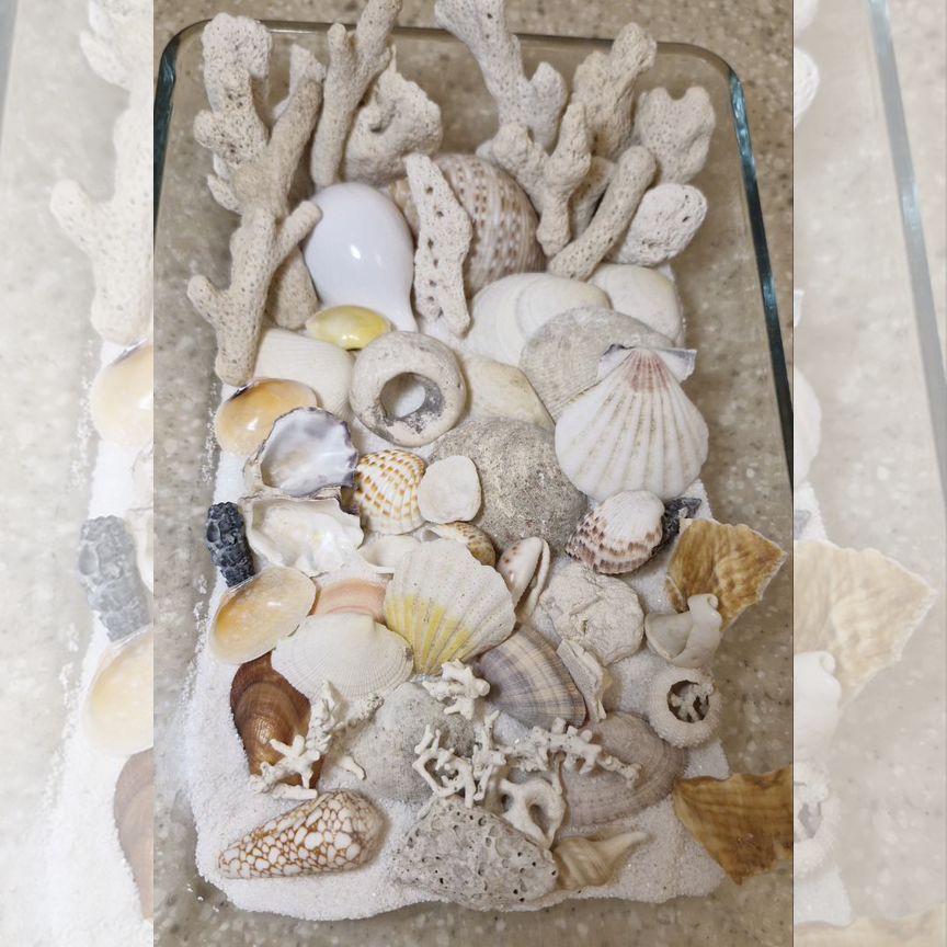 Ракушки и камни для аквариума, декор для аквариума