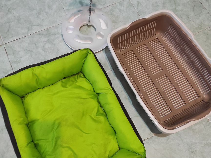 Лежанка, лоток, поводки и игрушка