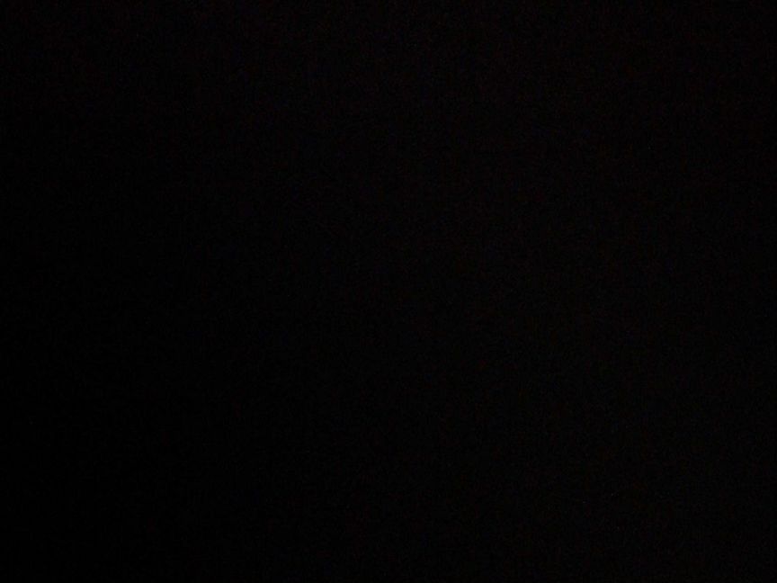 Красноухая черепаха